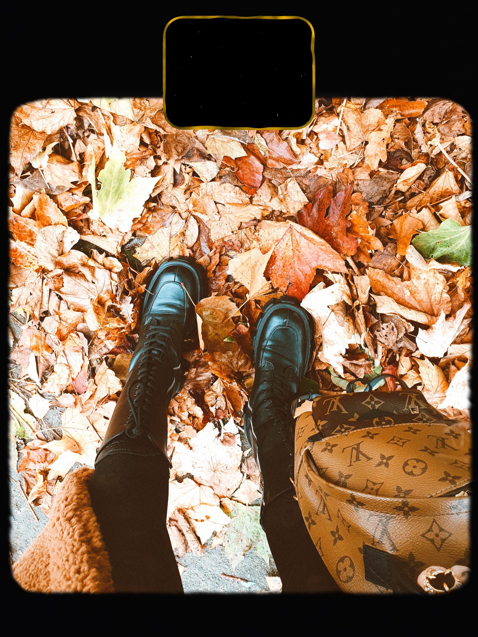 november rust • Sammi